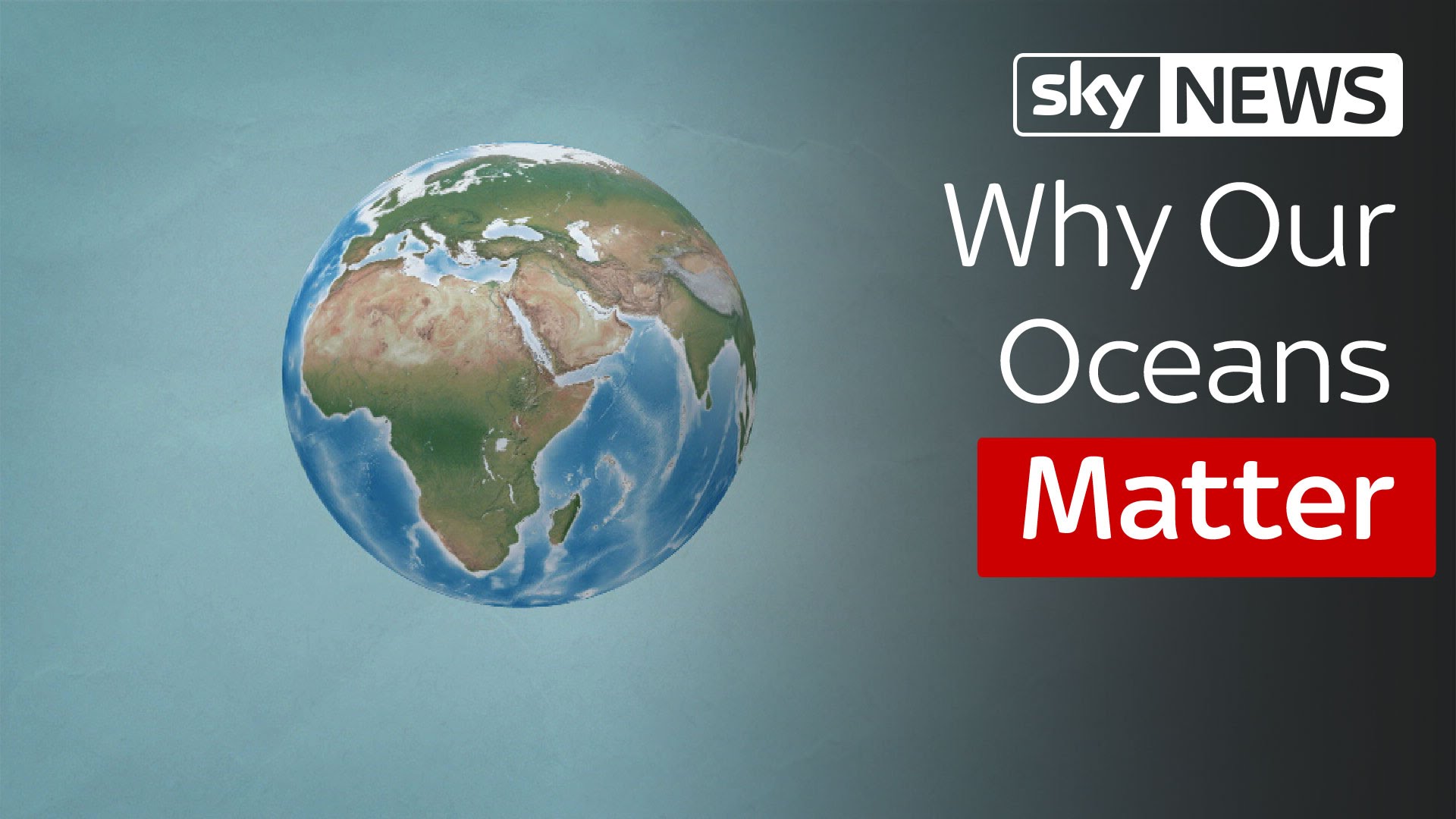 Why Our Oceans Matter - The Global Herald