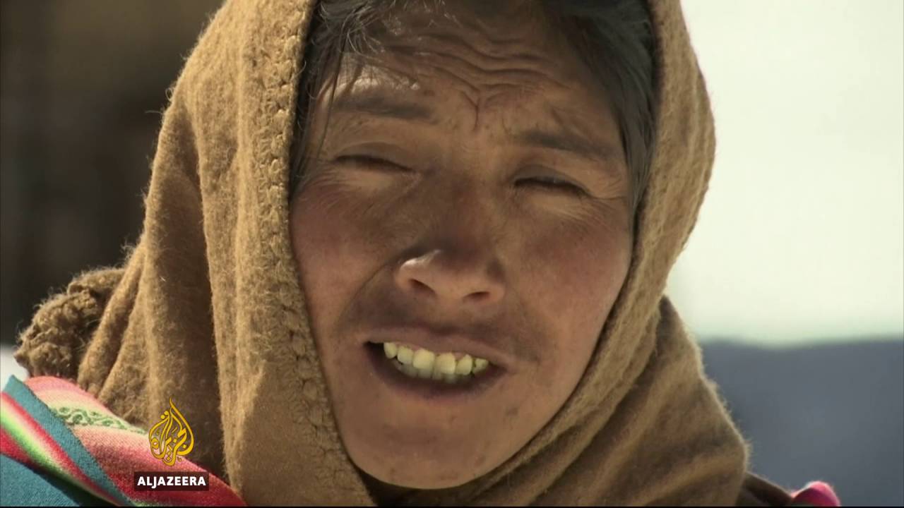 In Peru’s Andes, brutal cold snap kills thousands of alpacas - The ...