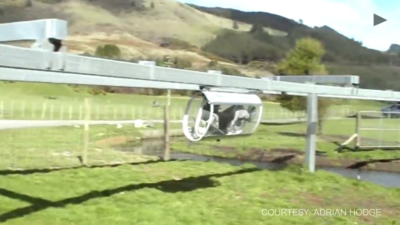 Meet Shweeb: Where monorail meets bike - The Global Herald