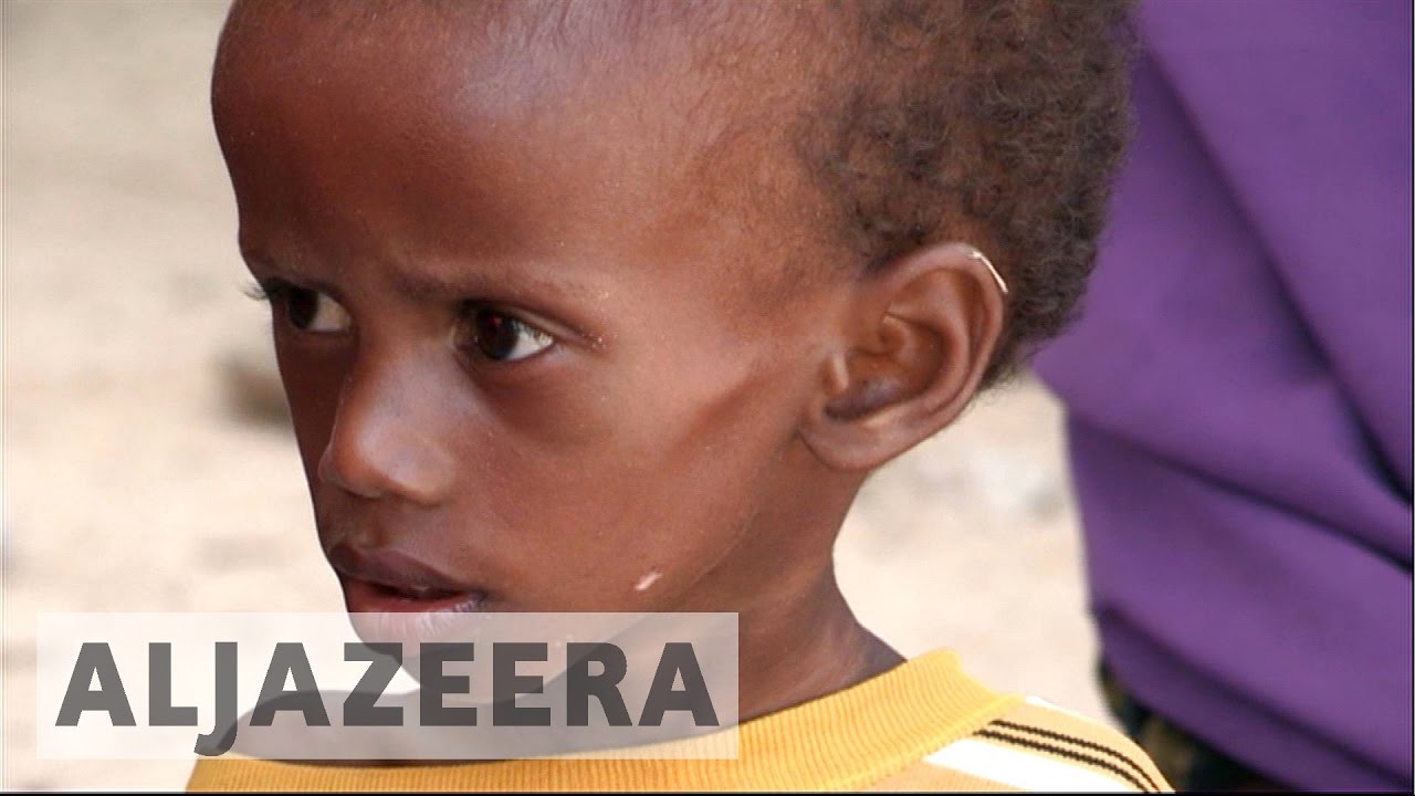 Six million Somalis face starvation - The Global Herald