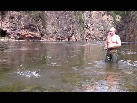 Unseen footage of Putin's vacation in Siberia: Extended cut - The ...