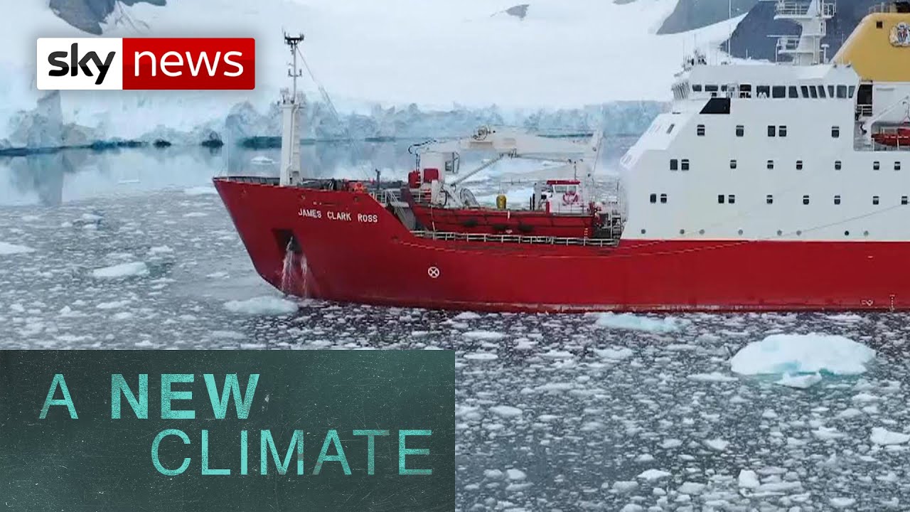 'It gets everywhere': Plastic in Antarctica - The Global Herald