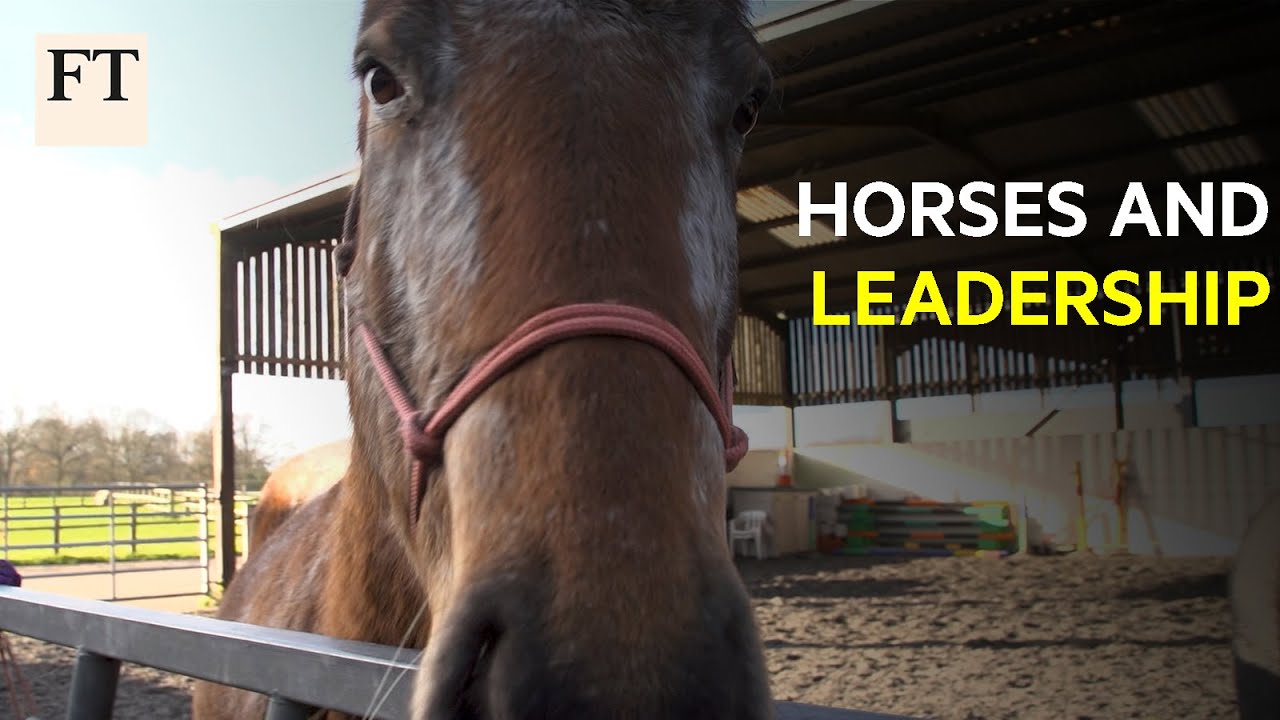 What horses can teach us about leadership | FT - The Global Herald
