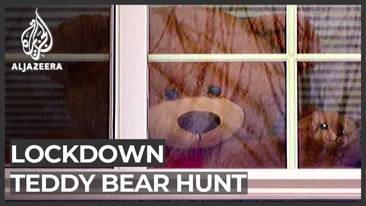 Teddy bear hunt goes viral - The Global Herald