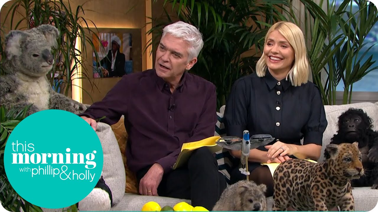 Meet the Animals Giving David Attenborough a Run For His Money | This ...