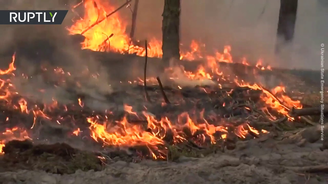 Radioactive forest on fire | Firefighters extinguish area of Chernobyl ...