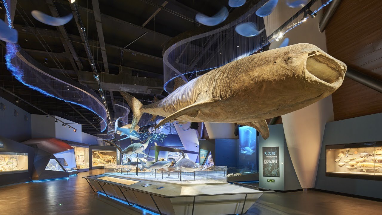 Live: A visit to National Maritime Museum of China on World Earth Day ...