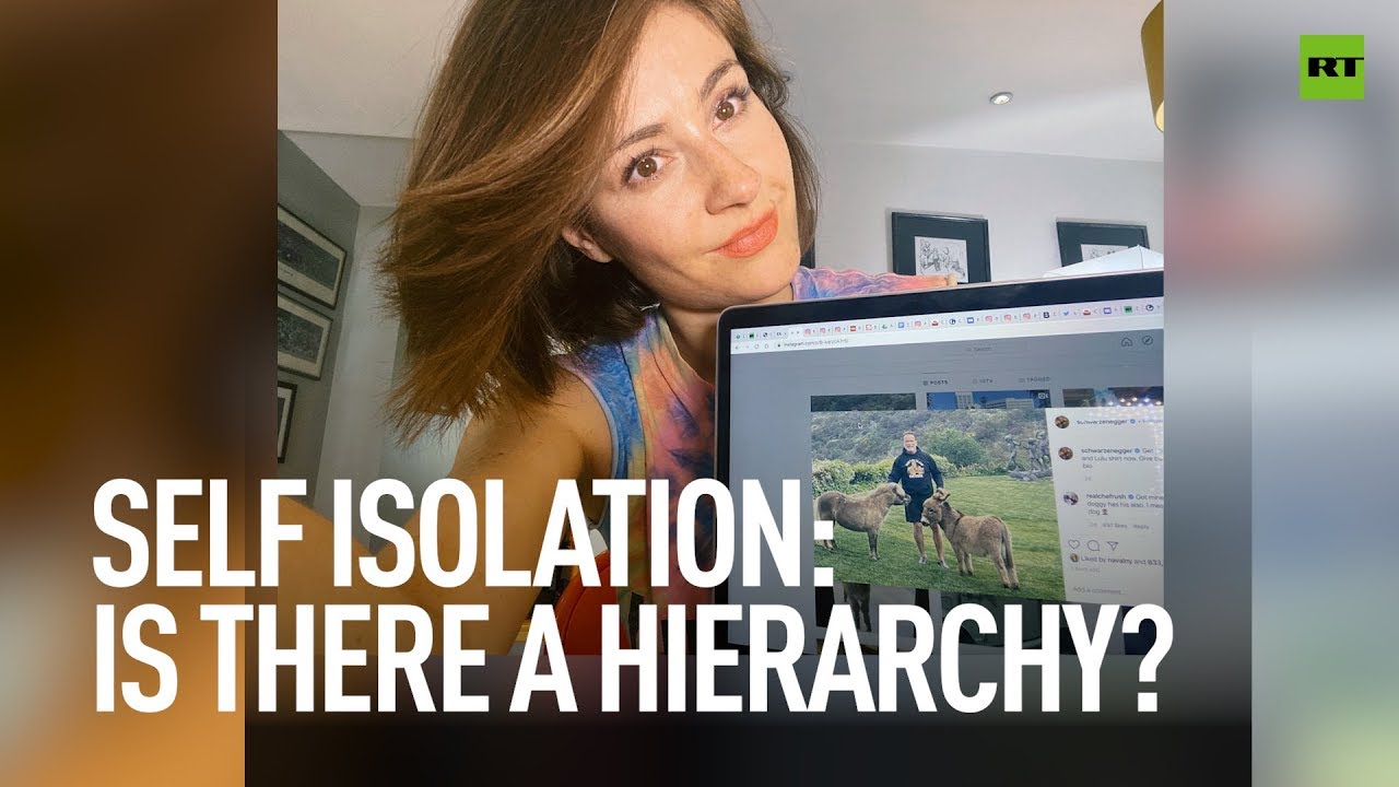 Self isolation: is there a hierarchy? | #PollyBites - The Global Herald