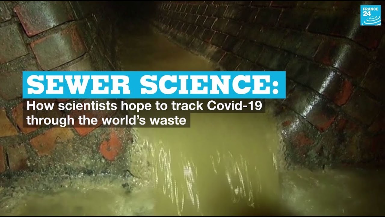 Sewer science: How scientists hope to track Covid-19 through the world ...