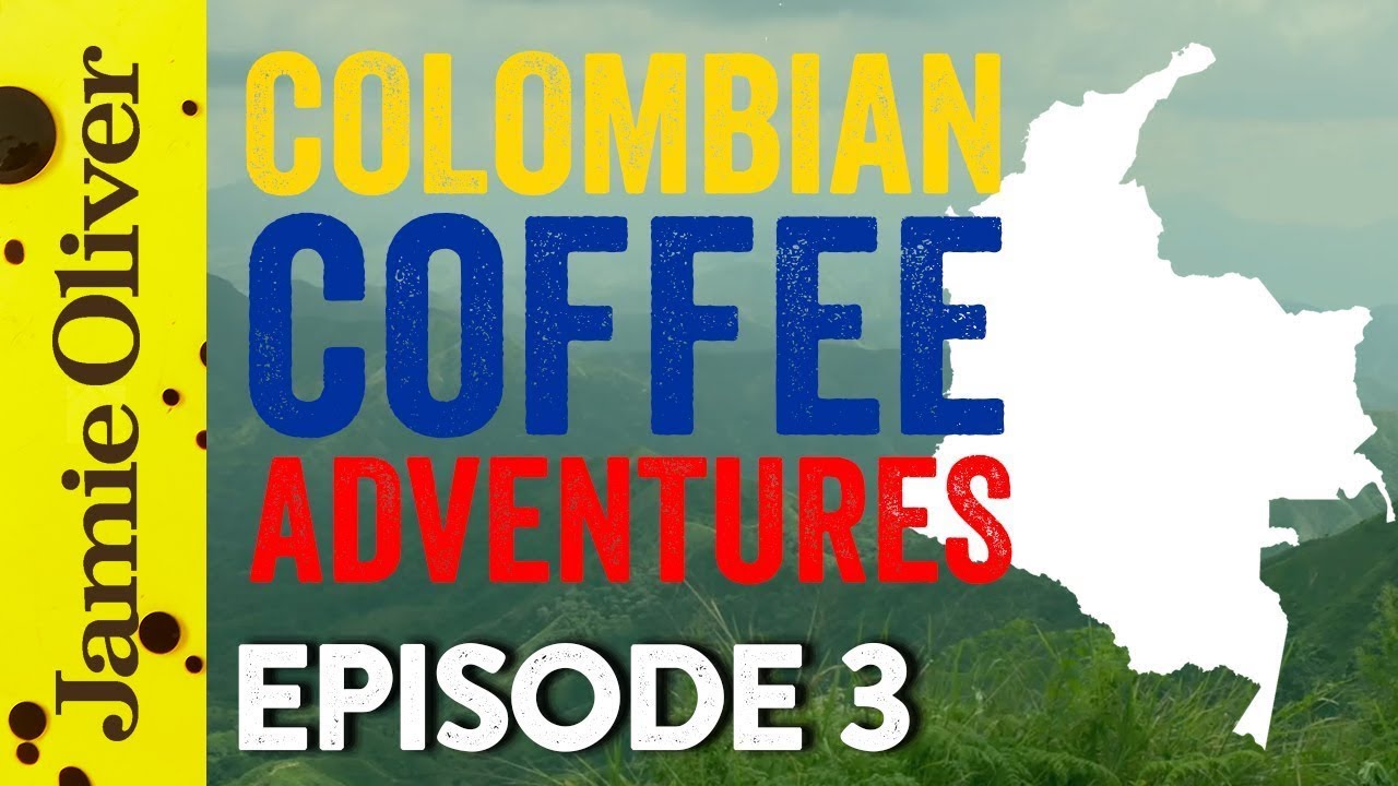 Colombian Coffee Adventures | Episode 3 | John Quilter AKA Food Busker ...