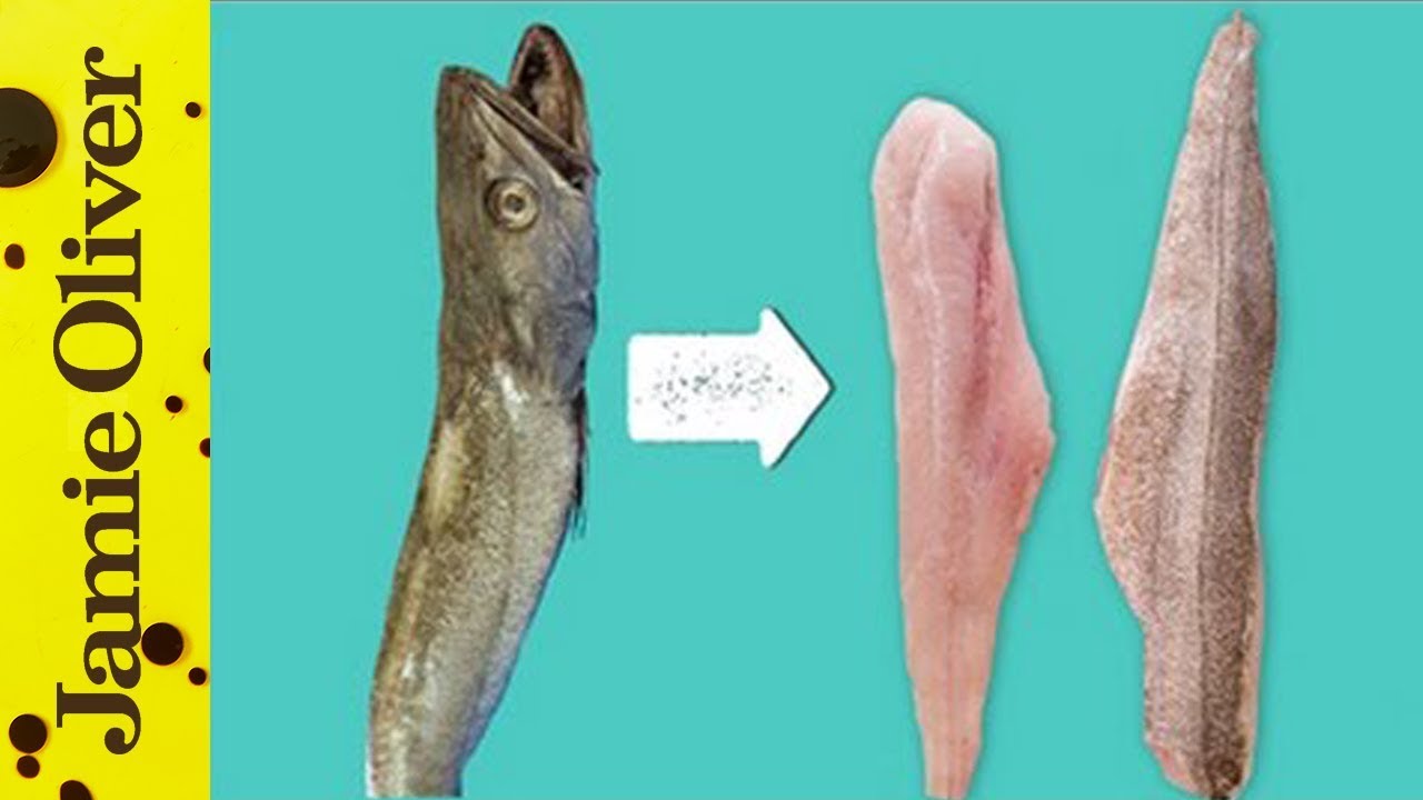 How To Fillet Fish | 1 Minute Tips | Bart’s Fish Tales - The Global Herald