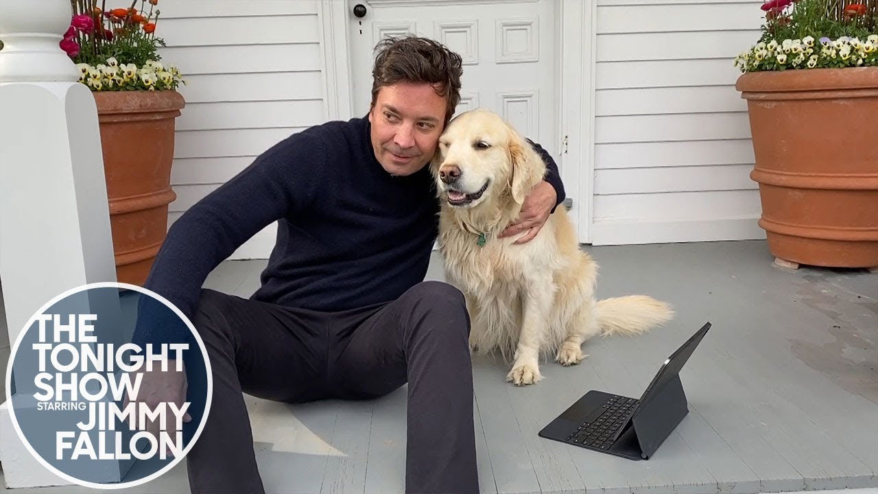 Gary the Dog Interviews Jeremy the Lizard - The Global Herald