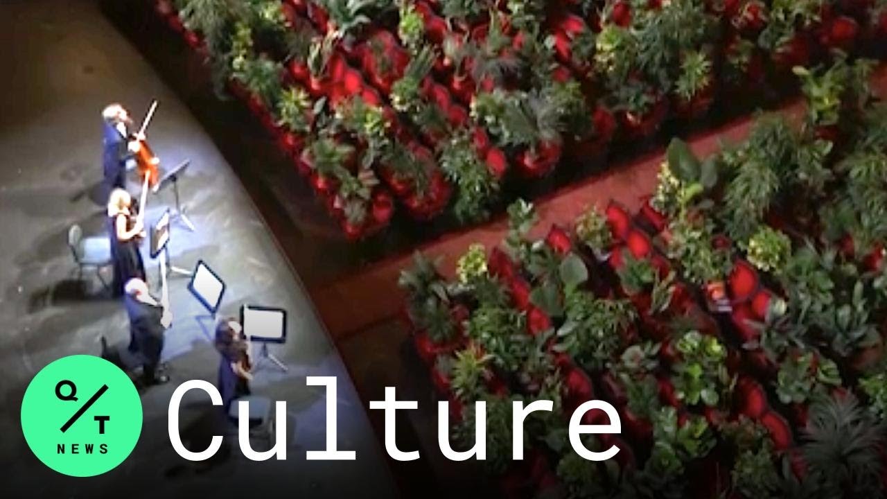 Spanish Opera House Reopens with Concert for Plants in Barcelona - The ...