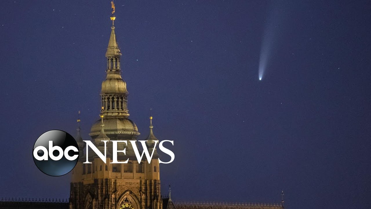 Comet, baby panda, Black Lives Matter: World in Photos, July 13 - The ...