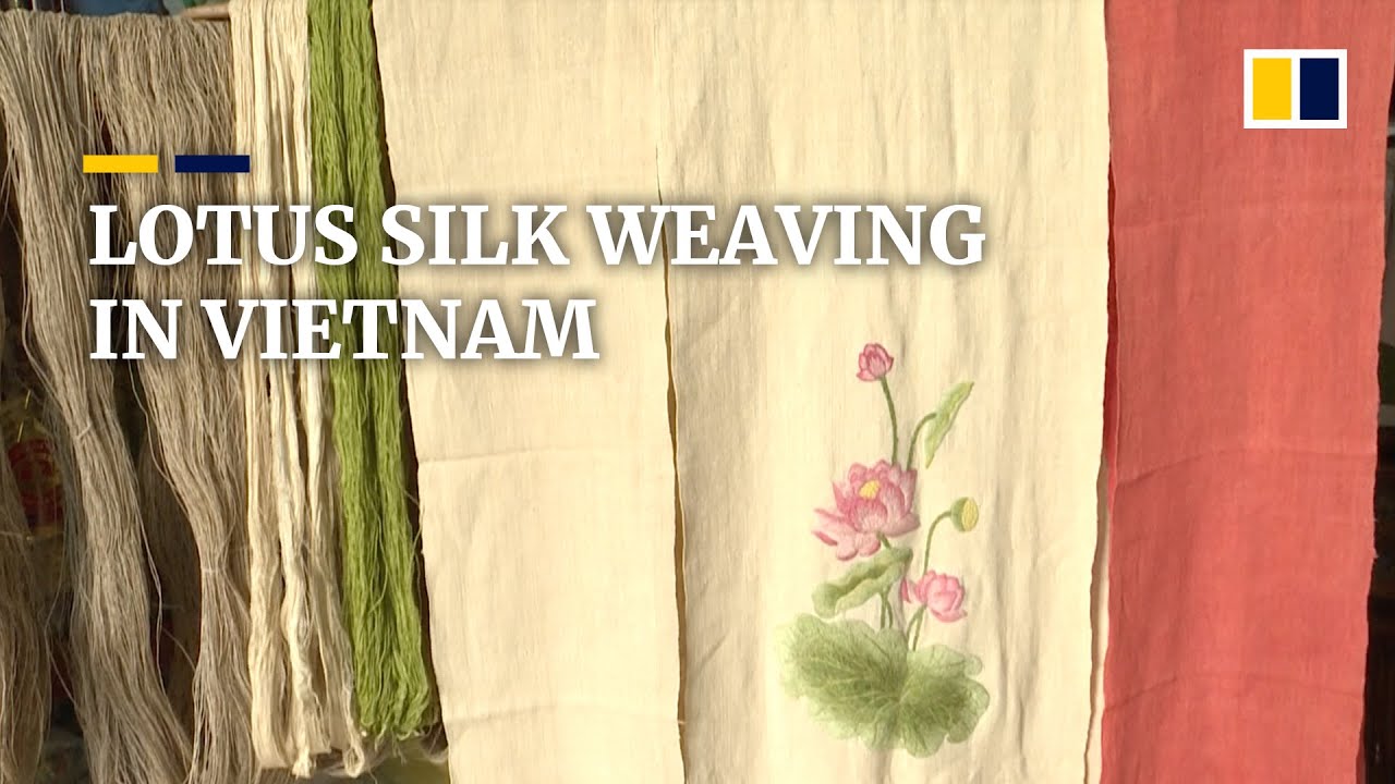 Lotus stems processed into fashionable ‘silk’ fabric by Vietnamese ...
