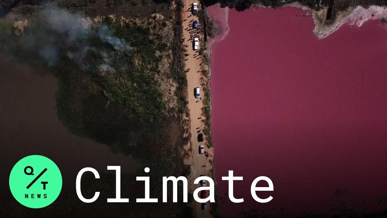 Pollution Turns Paraguayan Lagoon Bright Purple - The Global Herald