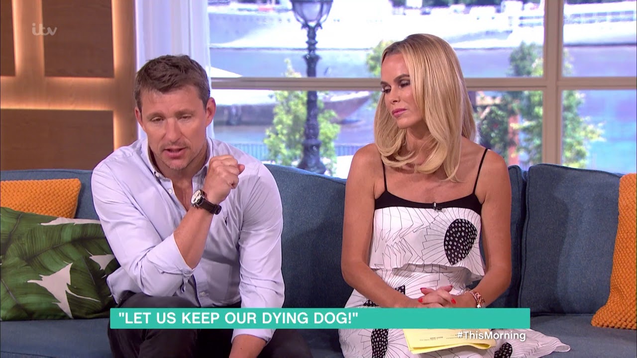 Guide Dog Volunteers Are Vitally Important | This Morning - The Global ...