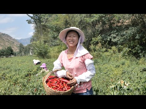 Rural women in Xihe County work closer to home in poverty-alleviation ...