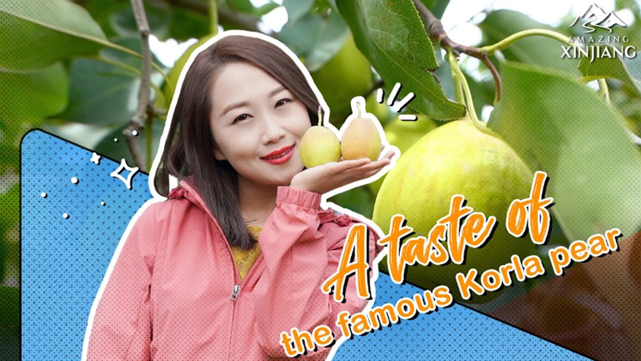 A taste of the famous Korla pear - The Global Herald