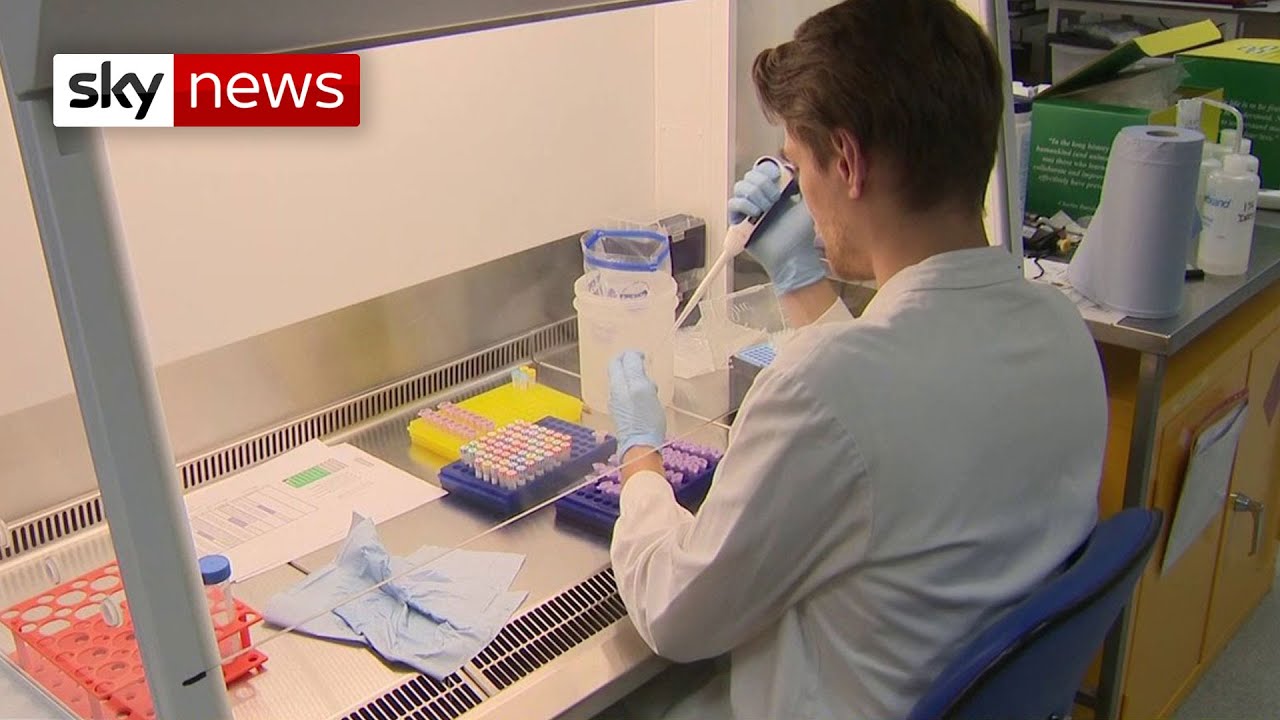 Patients' access to vital NHS tests delayed by Roche supply chain ...