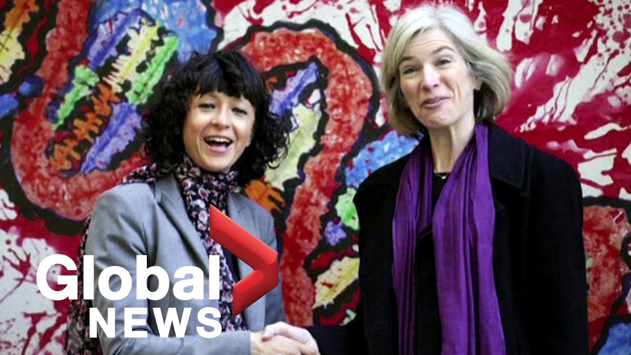 Creators of CRISPR genetic “scissors” win 2020 Nobel Prize in Chemistry ...