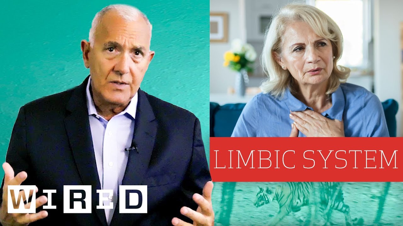 Former FBI Agent Breaks Down Body Language We Can't Control | WIRED ...