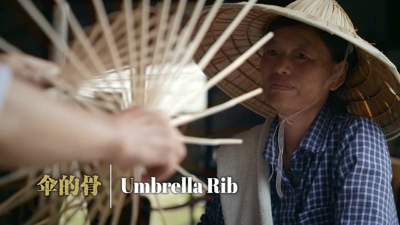 Umbrella Ribs - The Global Herald