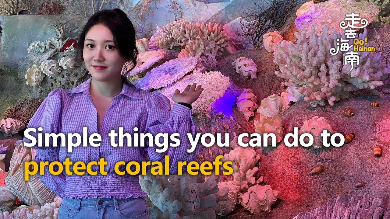 Go Hainan: Simple things you can do to protect coral reefs - The Global Herald