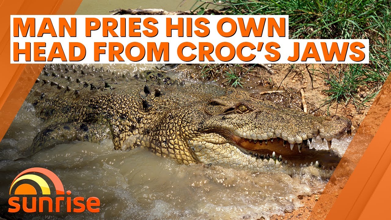 Australian man pries his own head from saltwater crocodile's jaws ...