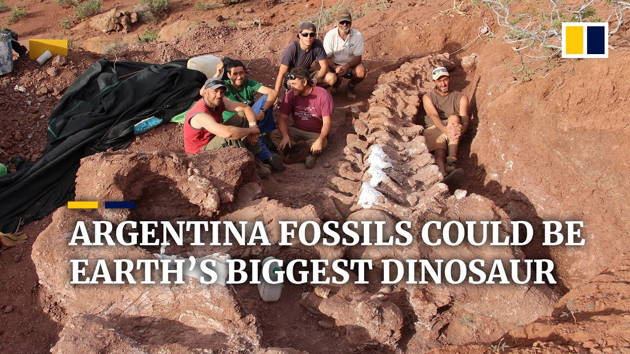 Dinosaur fossils found in Argentina could be from largest creature to ...