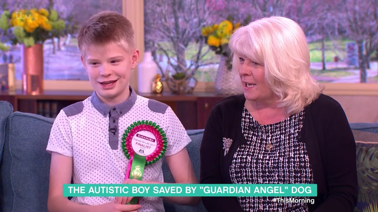 The Autistic Boy Saved by a 'Guardian Angel' Dog | This Morning - The ...