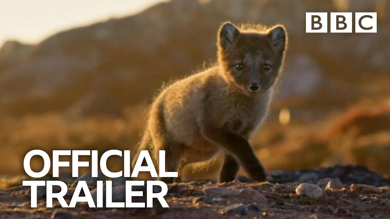 A Perfect Planet | Humans | Trailer - BBC - The Global Herald