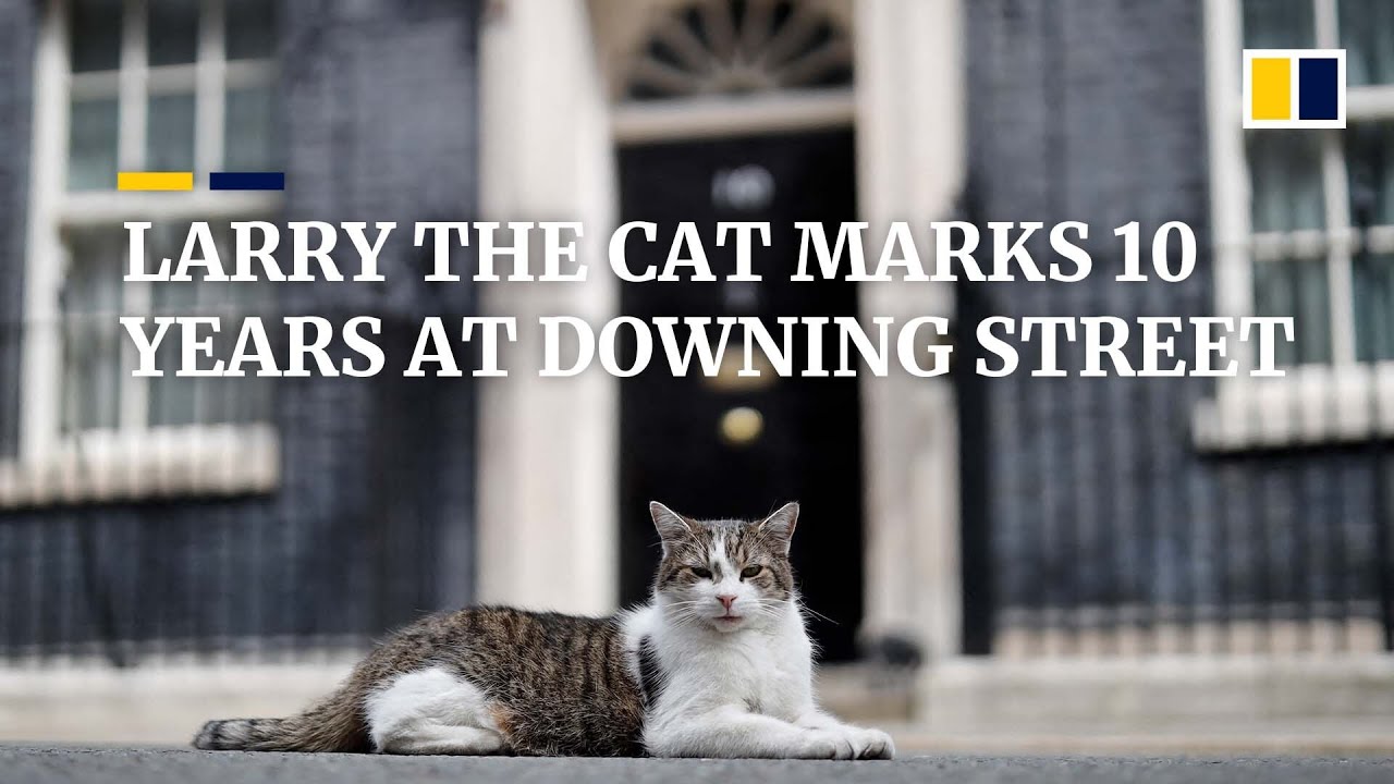 Larry the cat celebrates 10 years as chief mouser at 10 Downing Street ...