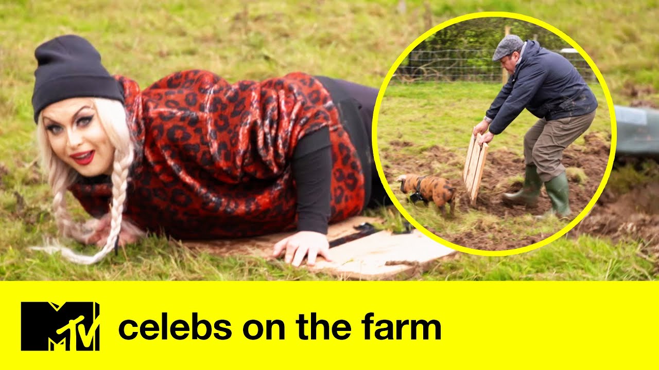 Cheryl Takes A Muddy Tumble During The Celebs' Pig Herding Test ...