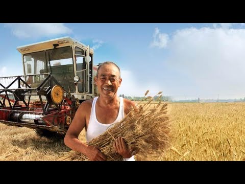 China's anti-poverty drive: How mission was accomplished - The Global ...