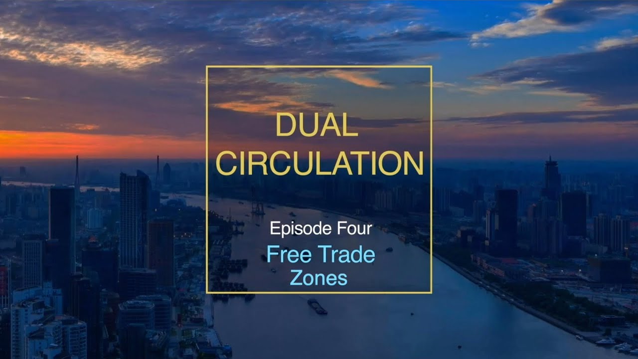 Special Series on 'Dual Circulation' Ep. 04: External Circulation and ...