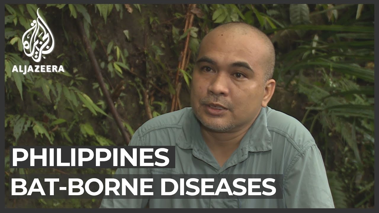 Philippines takes steps to prevent bat-borne diseases - The Global Herald