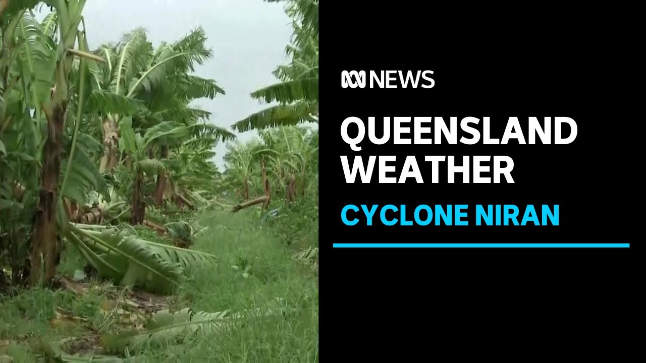Tropical Cyclone Niran intensifies off FNQ while storms battered south ...
