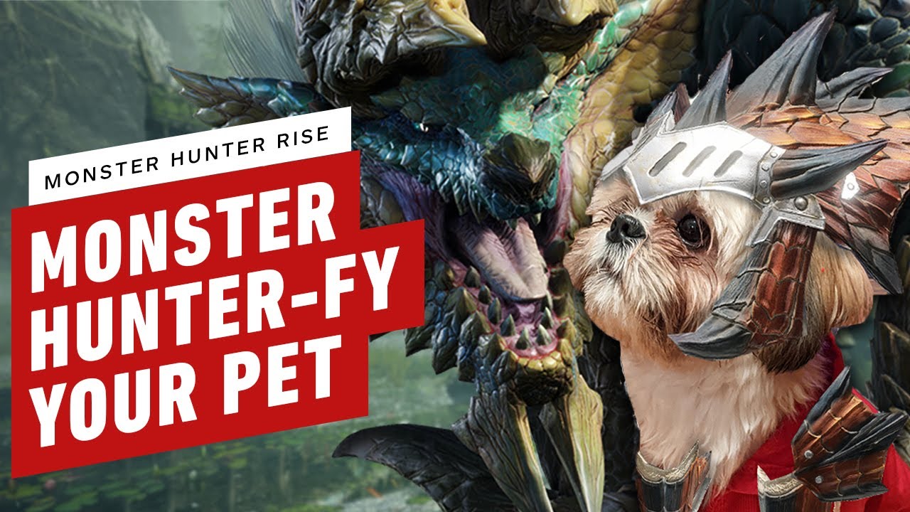 Monster Hunter Rise: Transform Your Pet Into a Monster Hunter - The ...