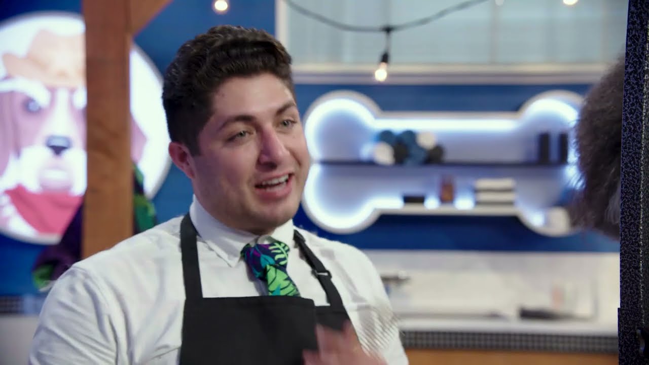 Introducing Pooch Perfect - Premieres TUESDAY 8|7c on ABC - The Global ...