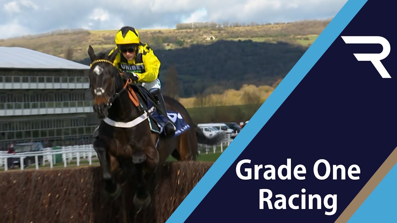 A ONE-HORSE RACE for Shishkin in the 2021 Arkle Chase. Victory for ...