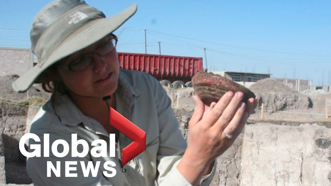 The Training Ground: What it takes to become a field archaeologist ...