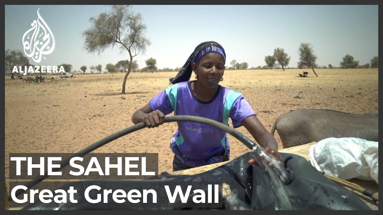 Sahel's Great Green Wall: Communities say project to plant trees is ...