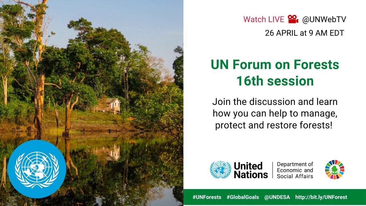 UN Forum on Forests - Launch of the Global Forest Goals Report 2021 ...