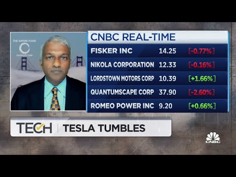 Dan Niles explains why he shorted Tesla despite loving EV space - The ...