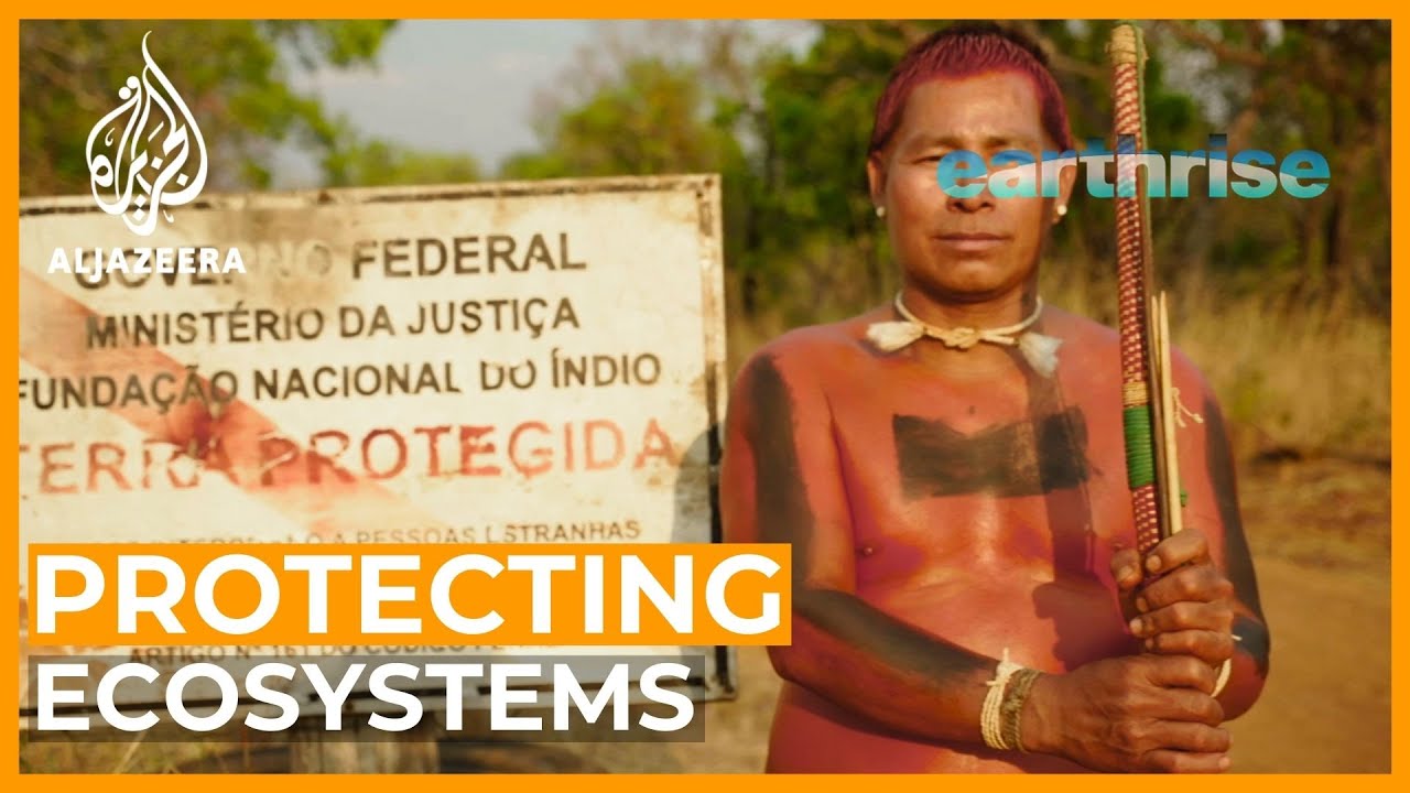 Natural Wisdom: Indigenous communities and defending biodiversity ...
