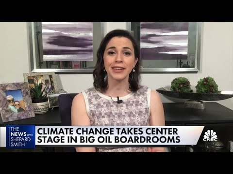 Climate change activists score wins against big oil companies like ...