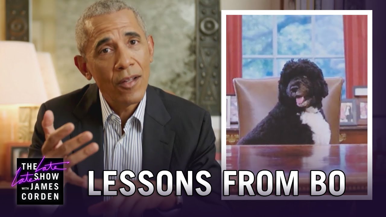 President Barack Obama on How Bo Changed the White House - The Global ...