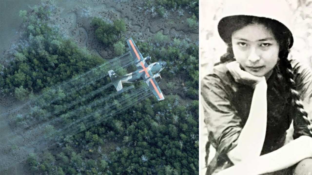 Agent Orange: The woman trying to get justice for herself and hundreds ...