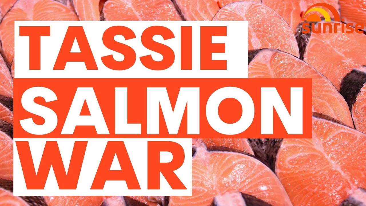 TASSIE SALMON WAR | The fish farmers fight back | 7NEWS - The Global Herald
